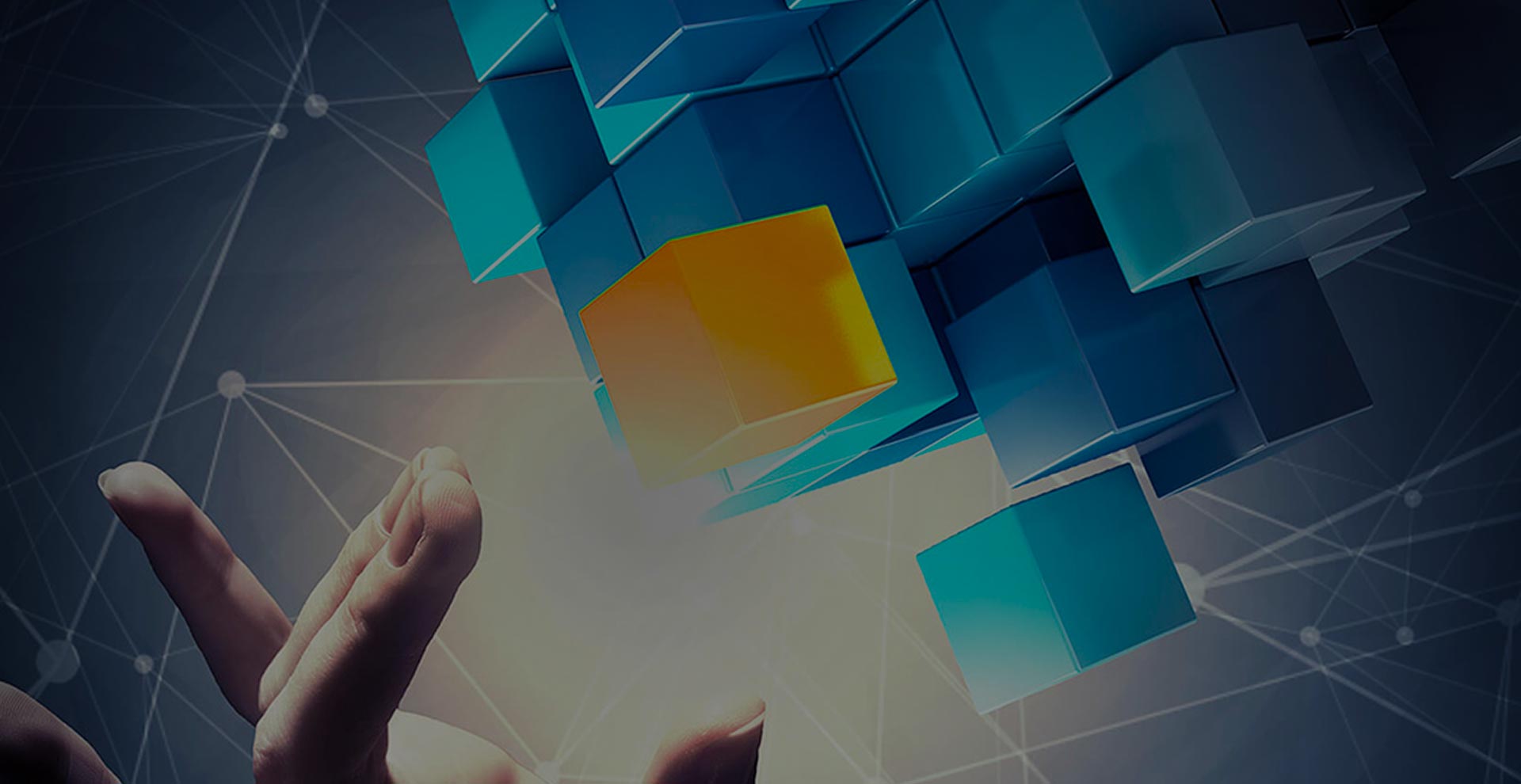 Rubika Document Re-engineering - The Intelligent Mail Barcode Module