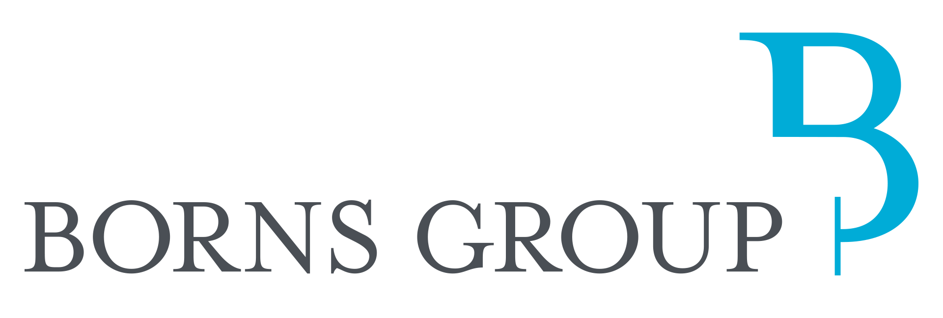 Borns Group Case Study or How to add $400,000 per year in incremental ...