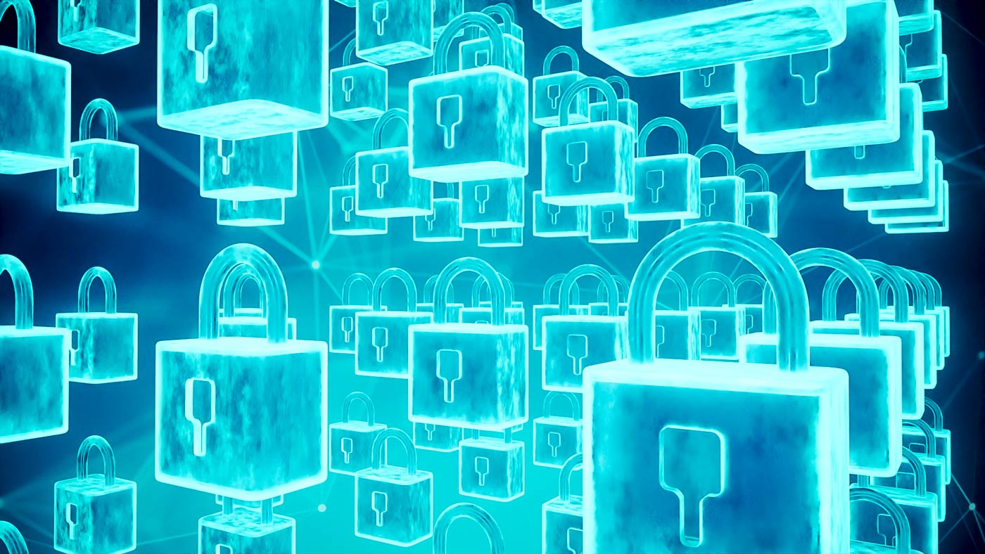 Secure Customer and PII Information with Redaction and Obfuscation