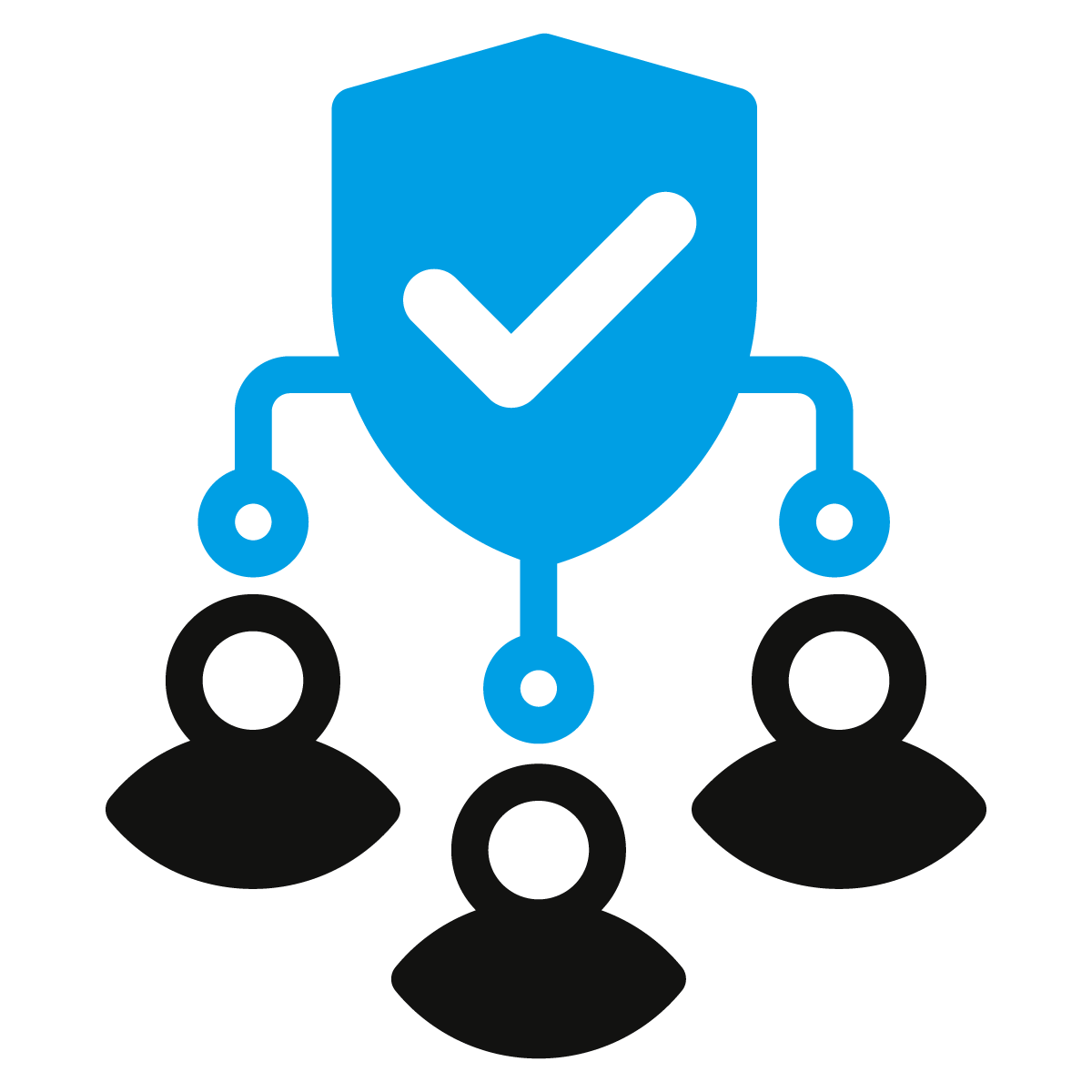 Secure Customer and PII Information with Redaction and Obfuscation