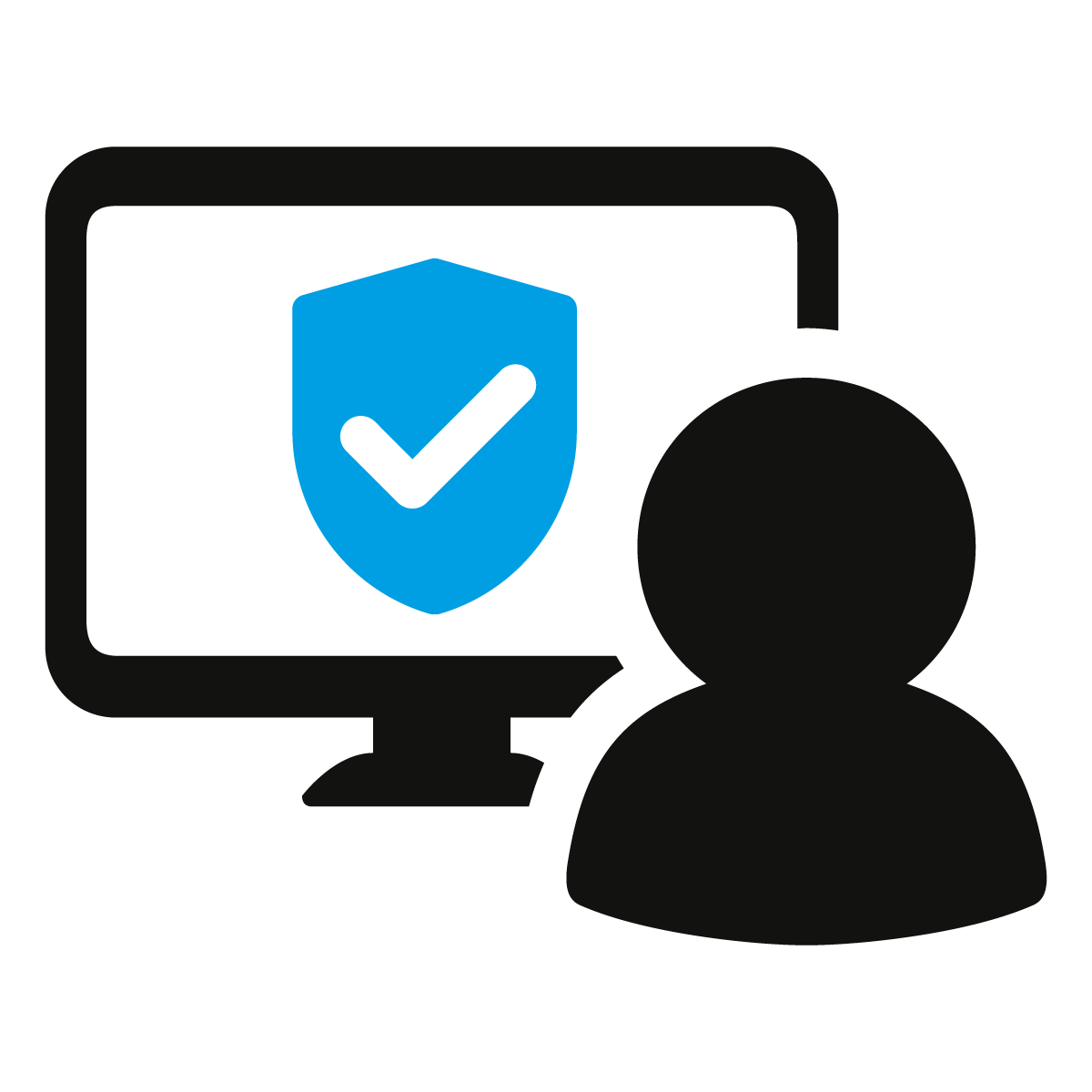 Secure Customer and PII Information with Redaction and Obfuscation