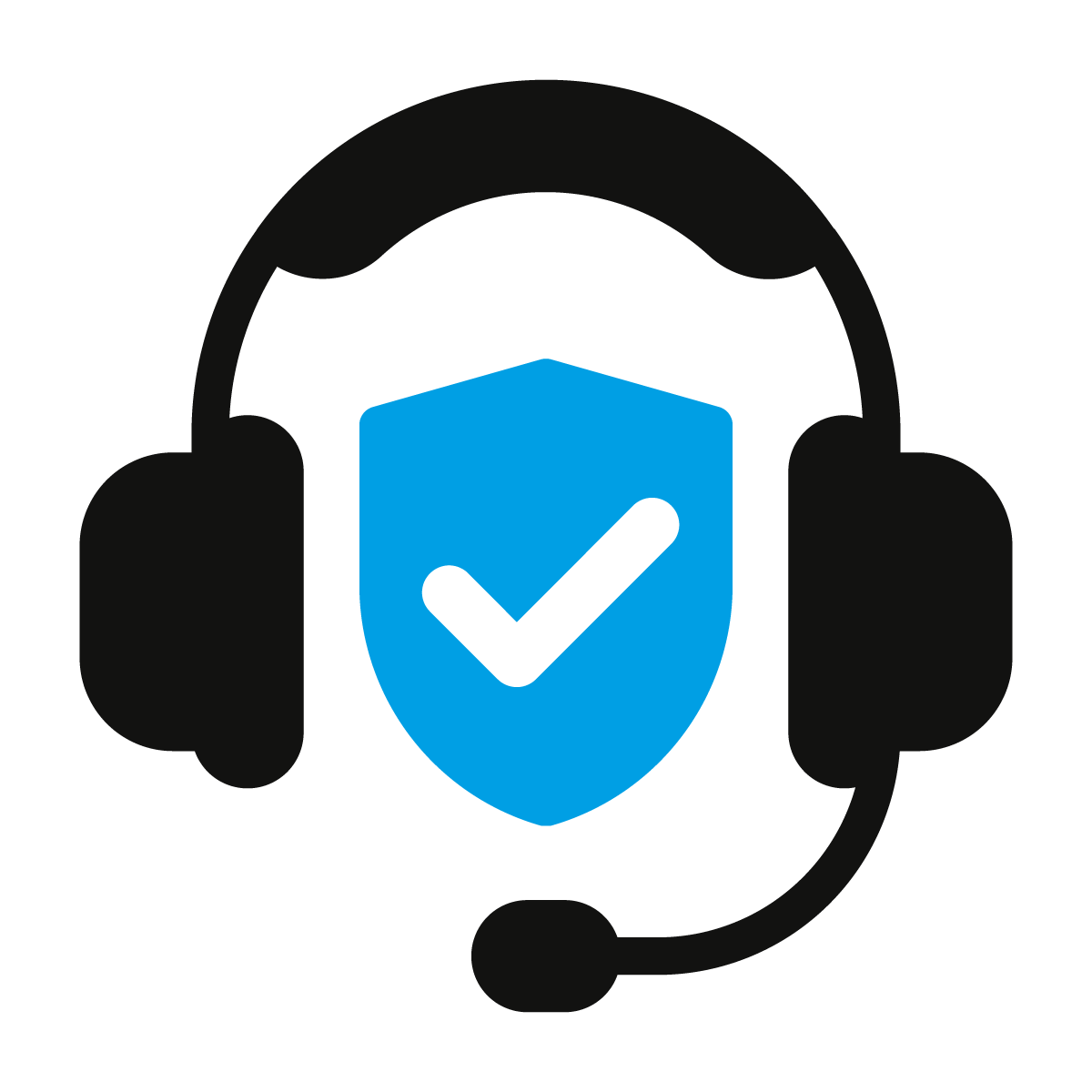 Secure Customer and PII Information with Redaction and Obfuscation