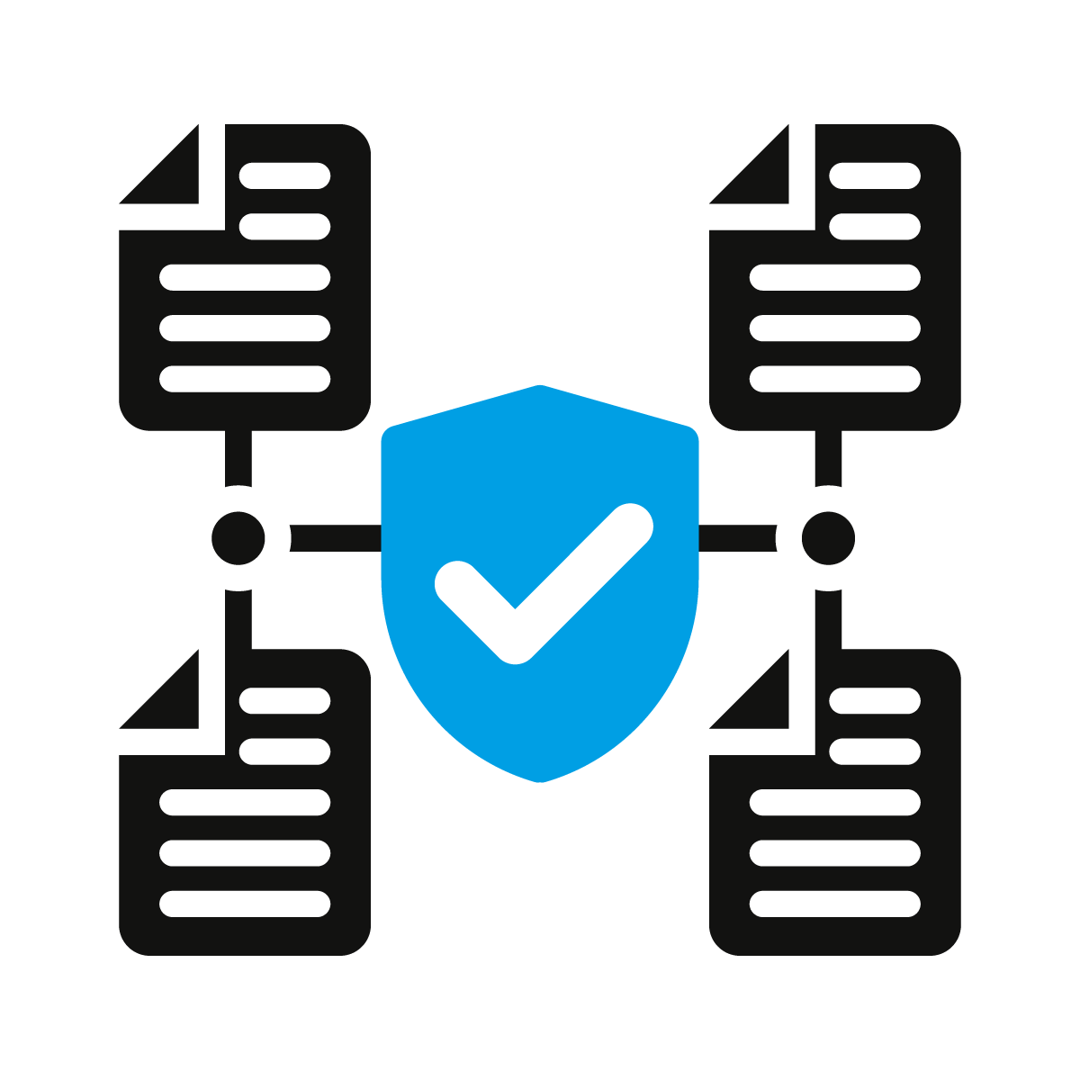 Secure Customer and PII Information with Redaction and Obfuscation